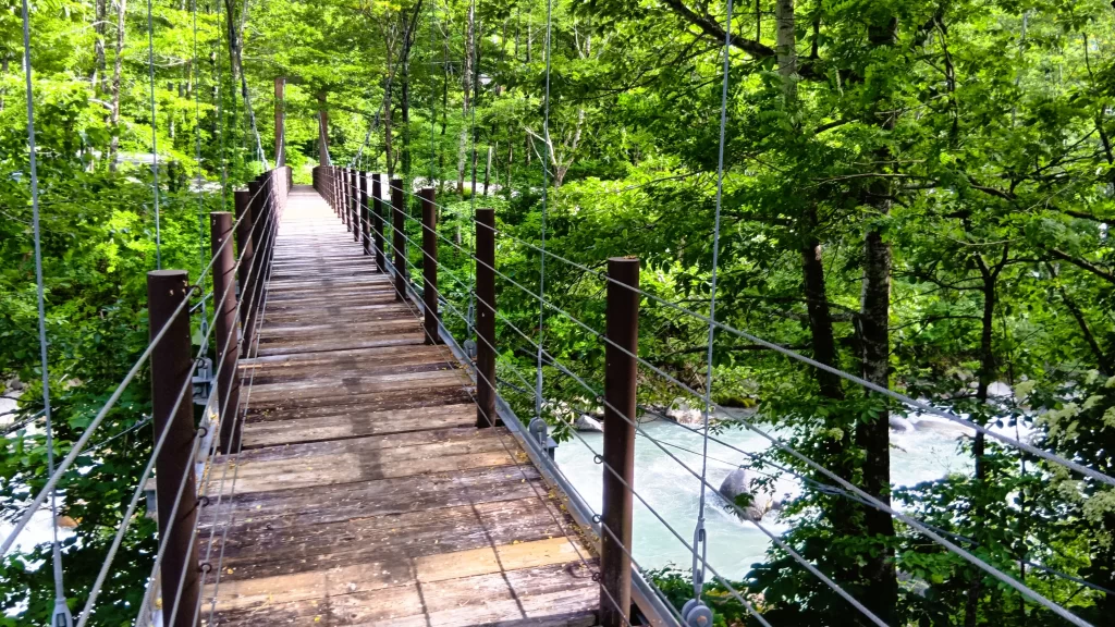 To the Sacred Mountain: A Journey Through Shiramine Part 1 - Kizuna Travel